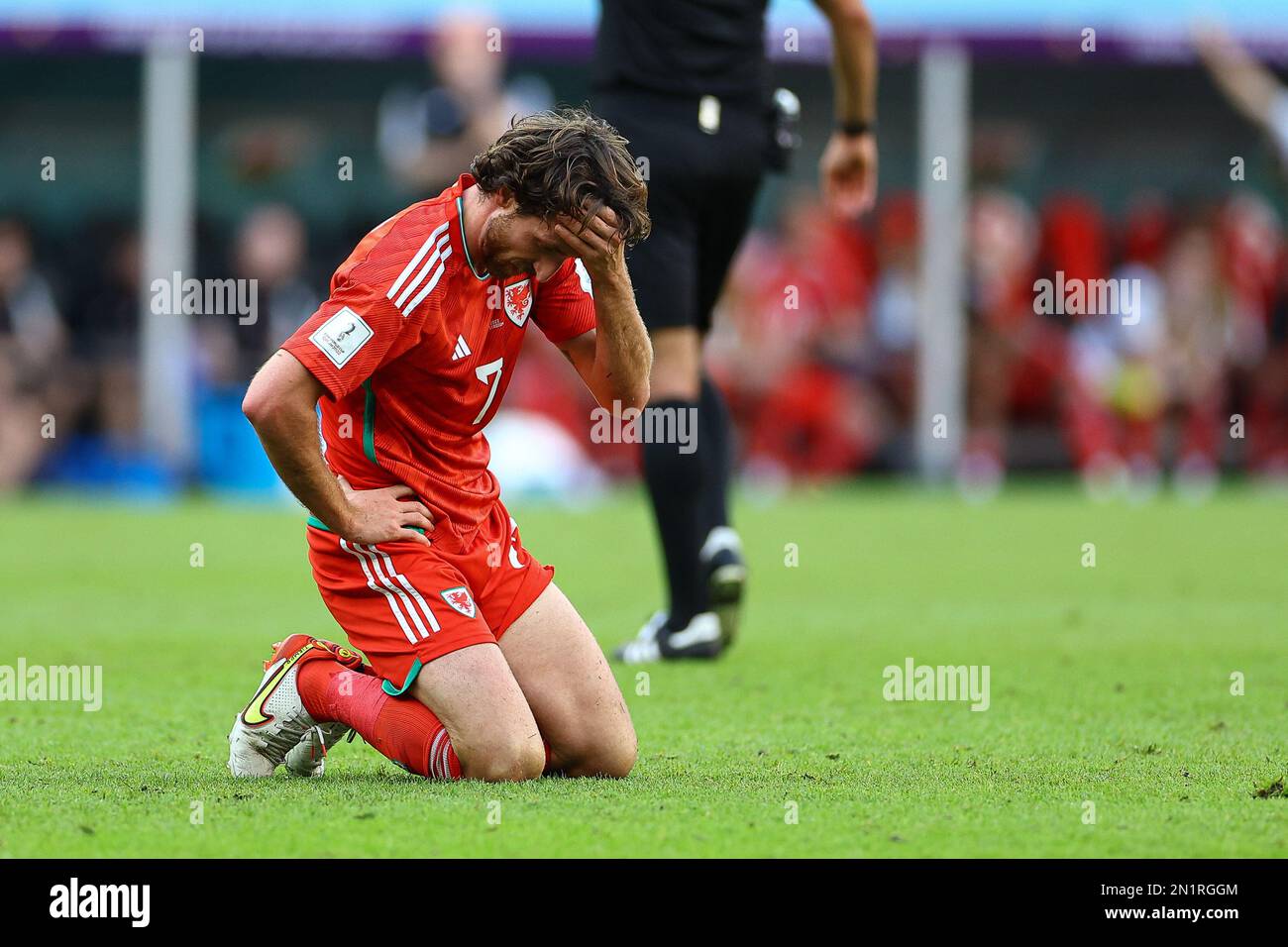 DOHA, QATAR - NOVEMBER 25: Joe Allen during the FIFA World Cup Qatar ...