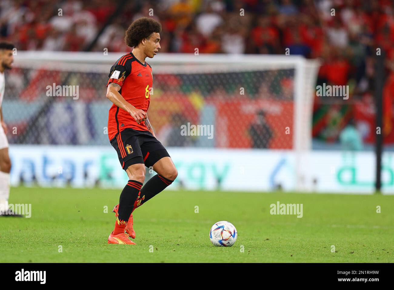 Axel Witsel during the FIFA World Cup Qatar 2022 Group F match between ...