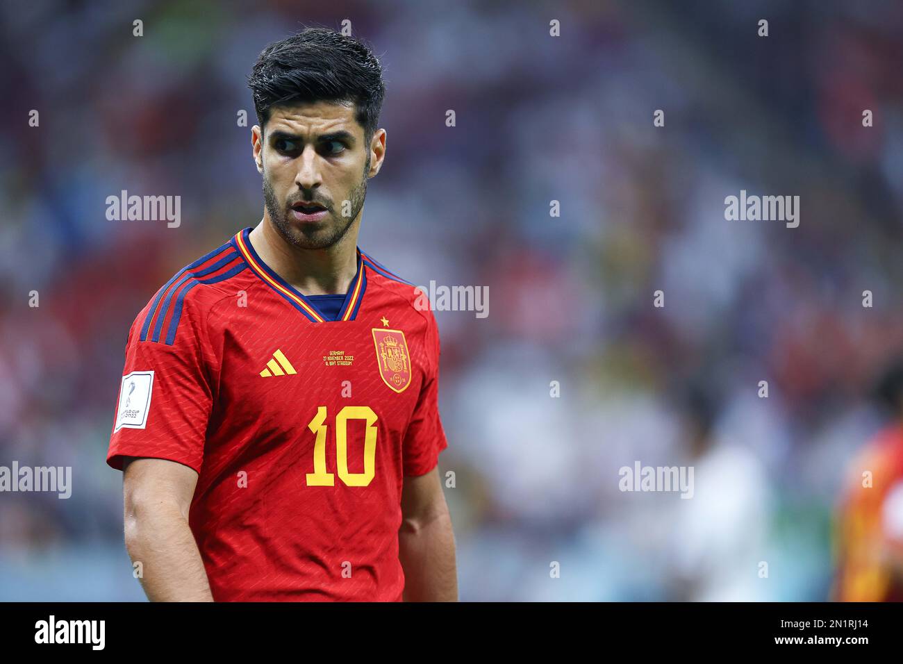 AL KHOR, QATAR - NOVEMBER 27: Marco Asensio during the FIFA World Cup ...