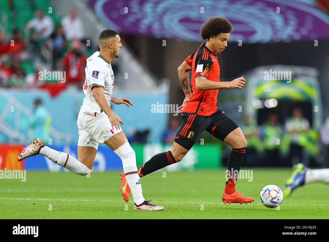 Axel Witsel during the FIFA World Cup Qatar 2022 Group F match between ...
