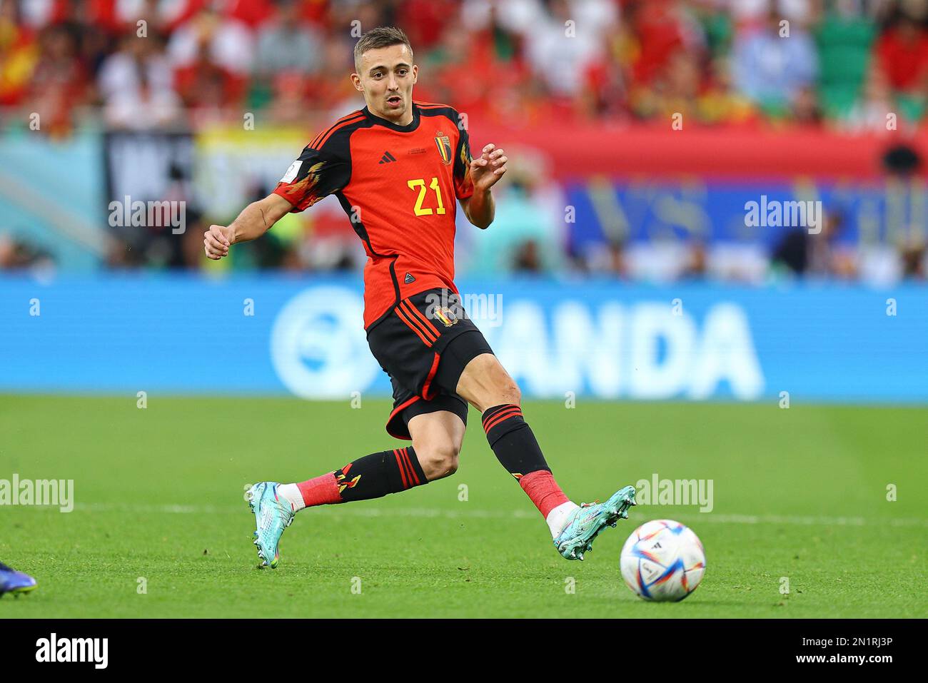 Timothy Castagne during the FIFA World Cup Qatar 2022 Group F match ...