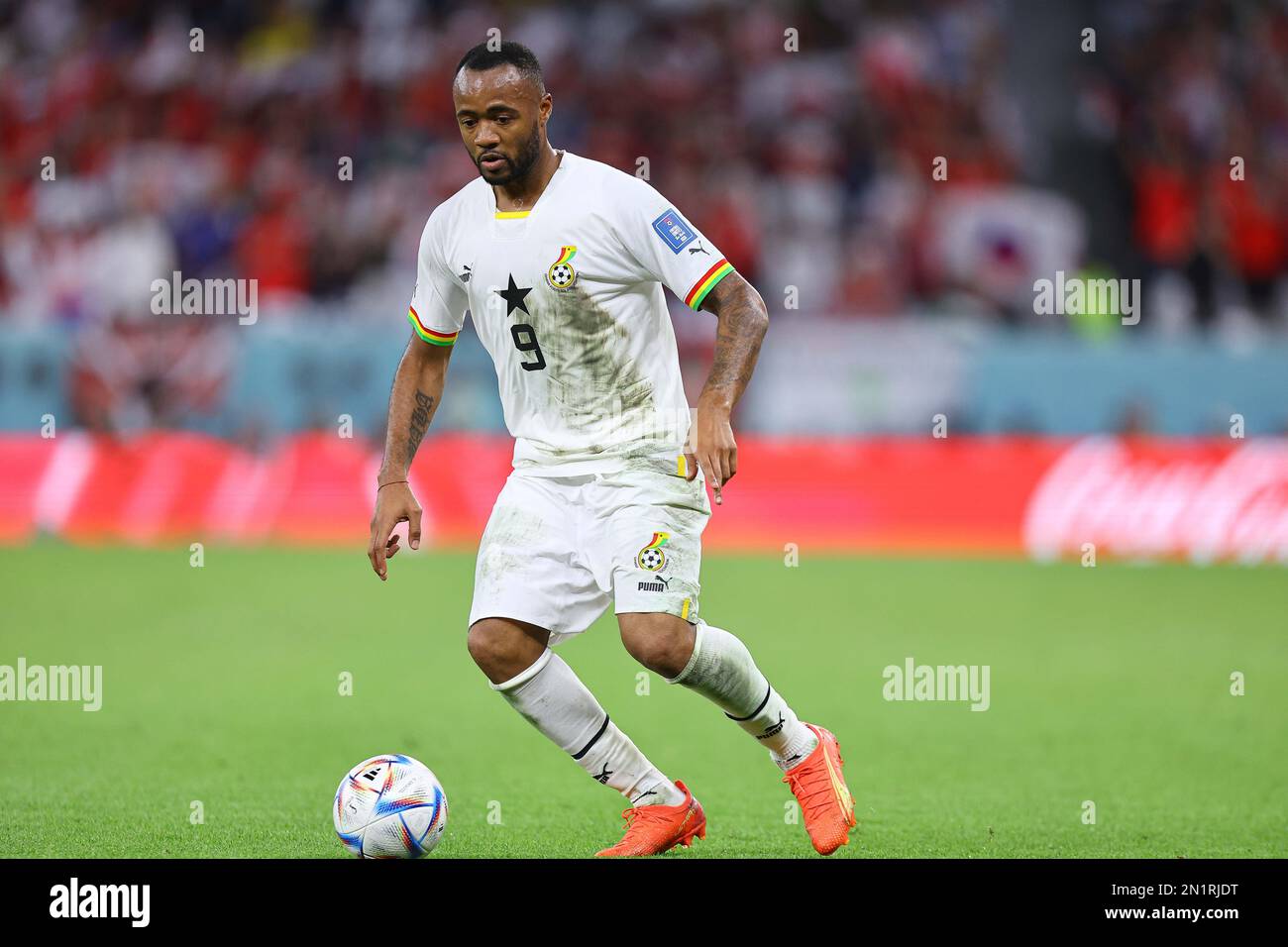 AL RAYYAN, QATAR - NOVEMBER 28: Jordan Ayew during the FIFA World Cup ...