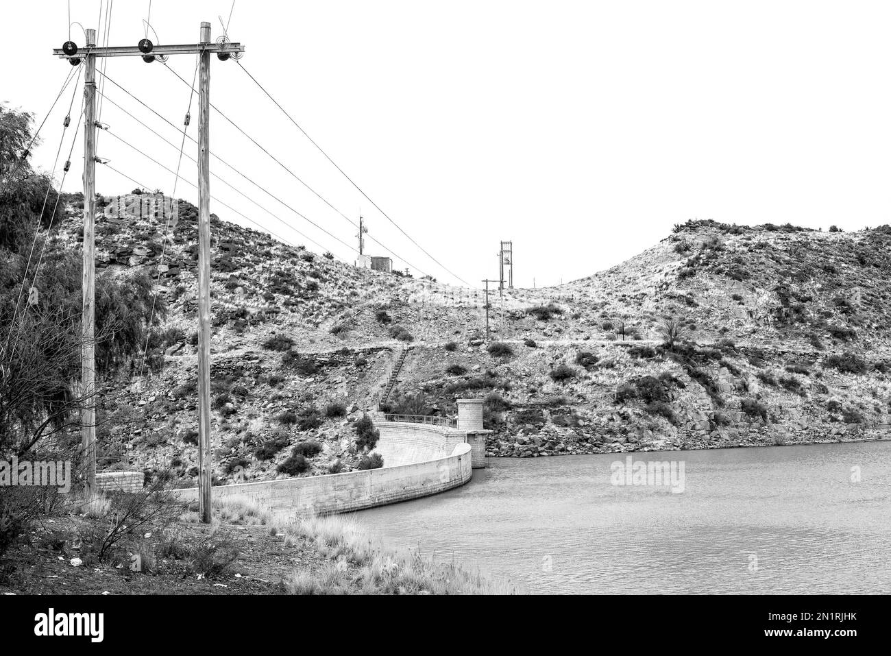 West african shrub Black and White Stock Photos & Images - Alamy