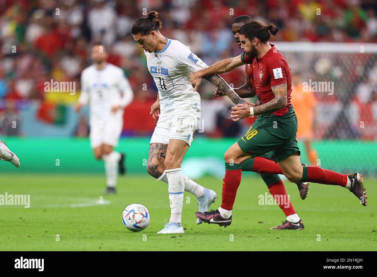 LUSAIL CITY, QATAR - NOVEMBER 28: Darwin Nunez, Ruben Neves during the ...