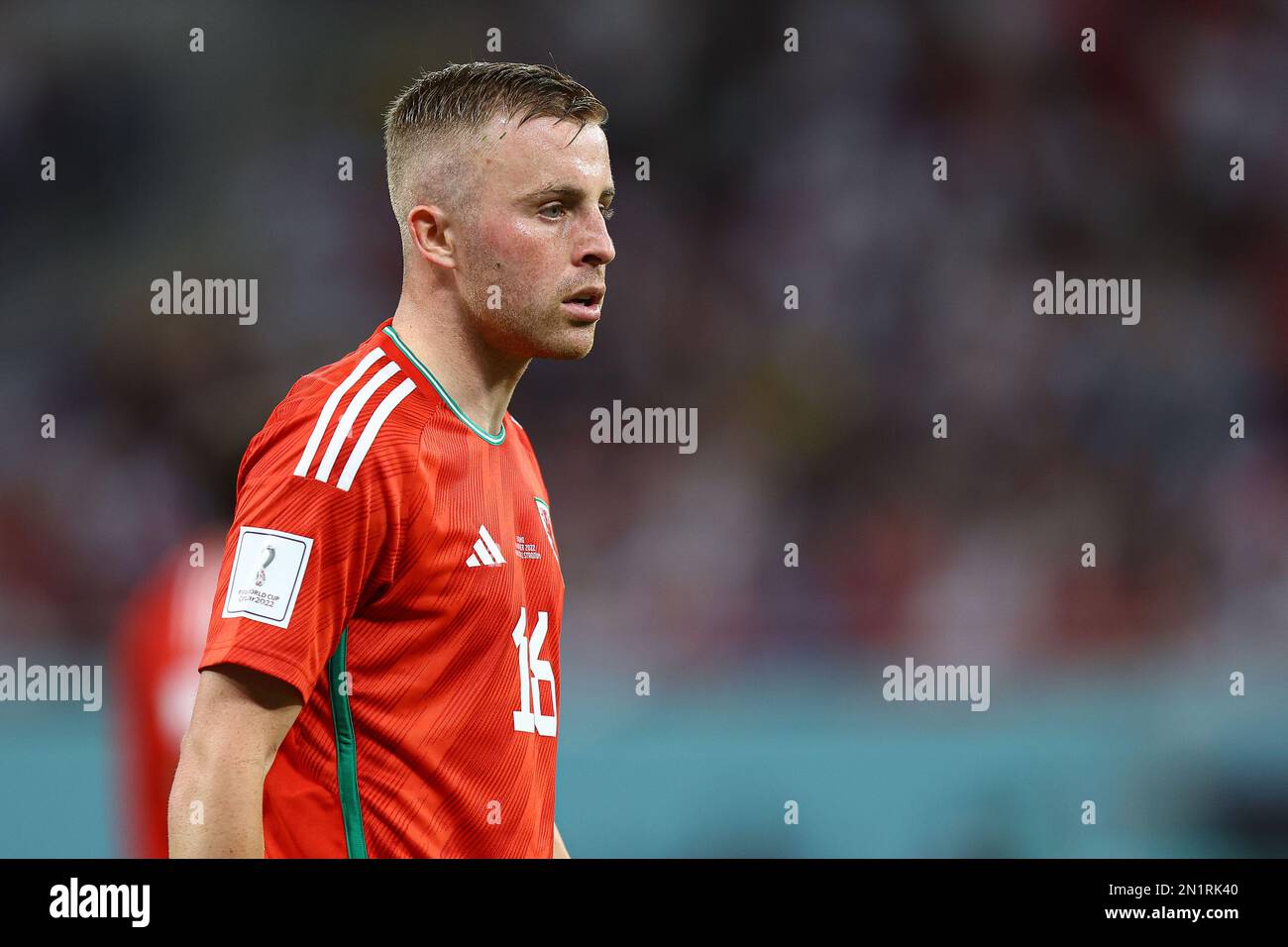 DOHA, QATAR - NOVEMBER 25: Joe Morrell during the FIFA World Cup Qatar ...