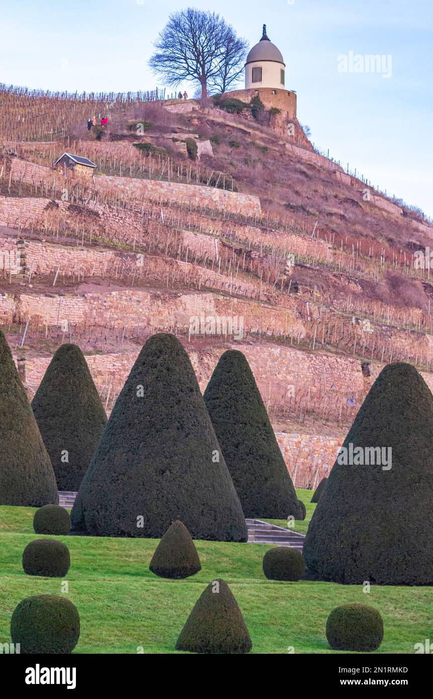 Schlossgarten, vineyards and Jacobstein or Jakobsturm, Schloss ...