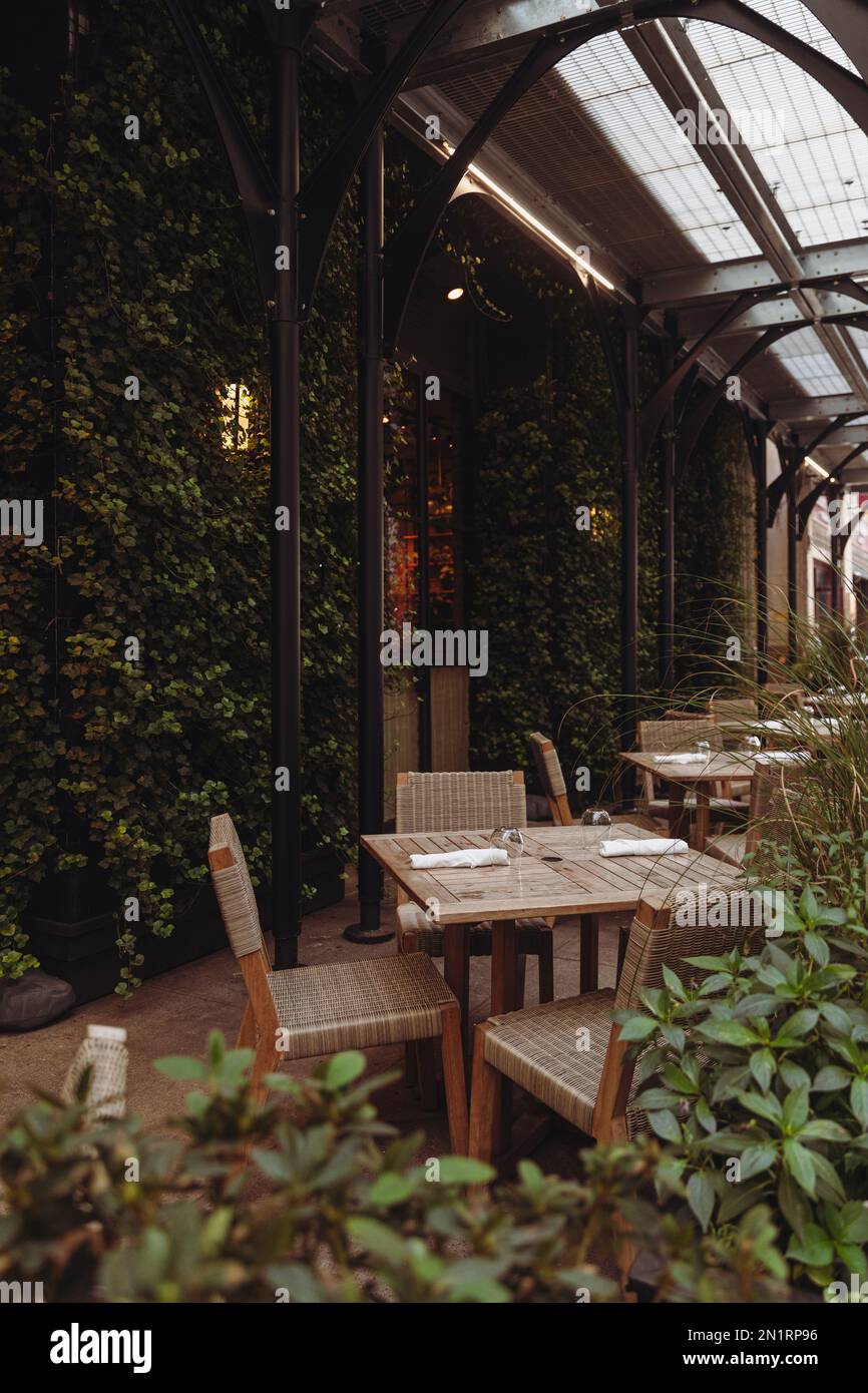 cafe terrace under transparent roof near building covered with green ...