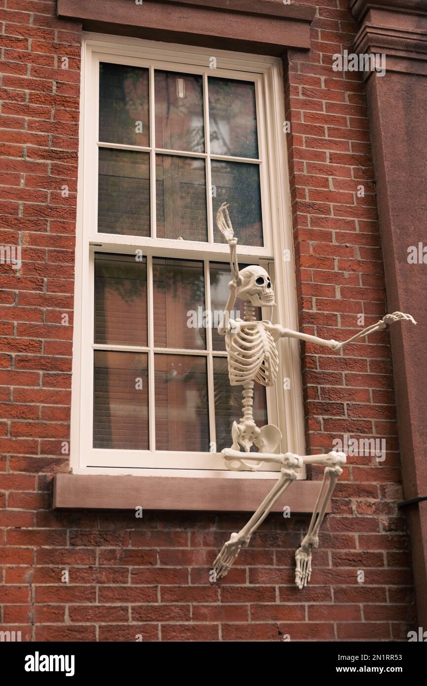 spooky Halloween skeleton on white window of brick house in New York ...