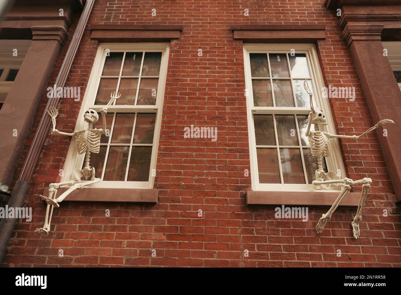 low angle view of spooky skeletons on window of brick house in New York ...