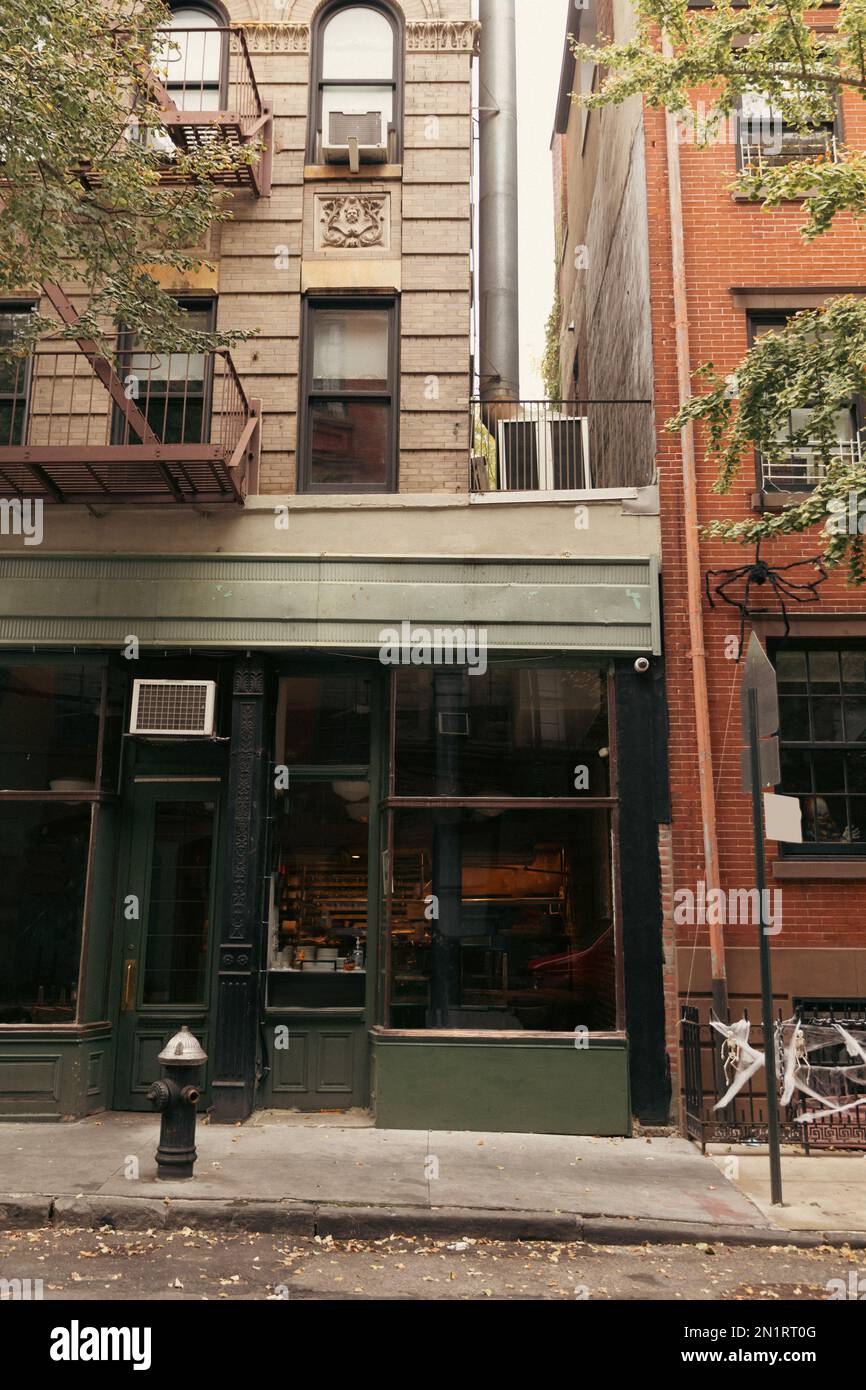 Buildings and fire hydrant on urban street in New York City,stock image ...