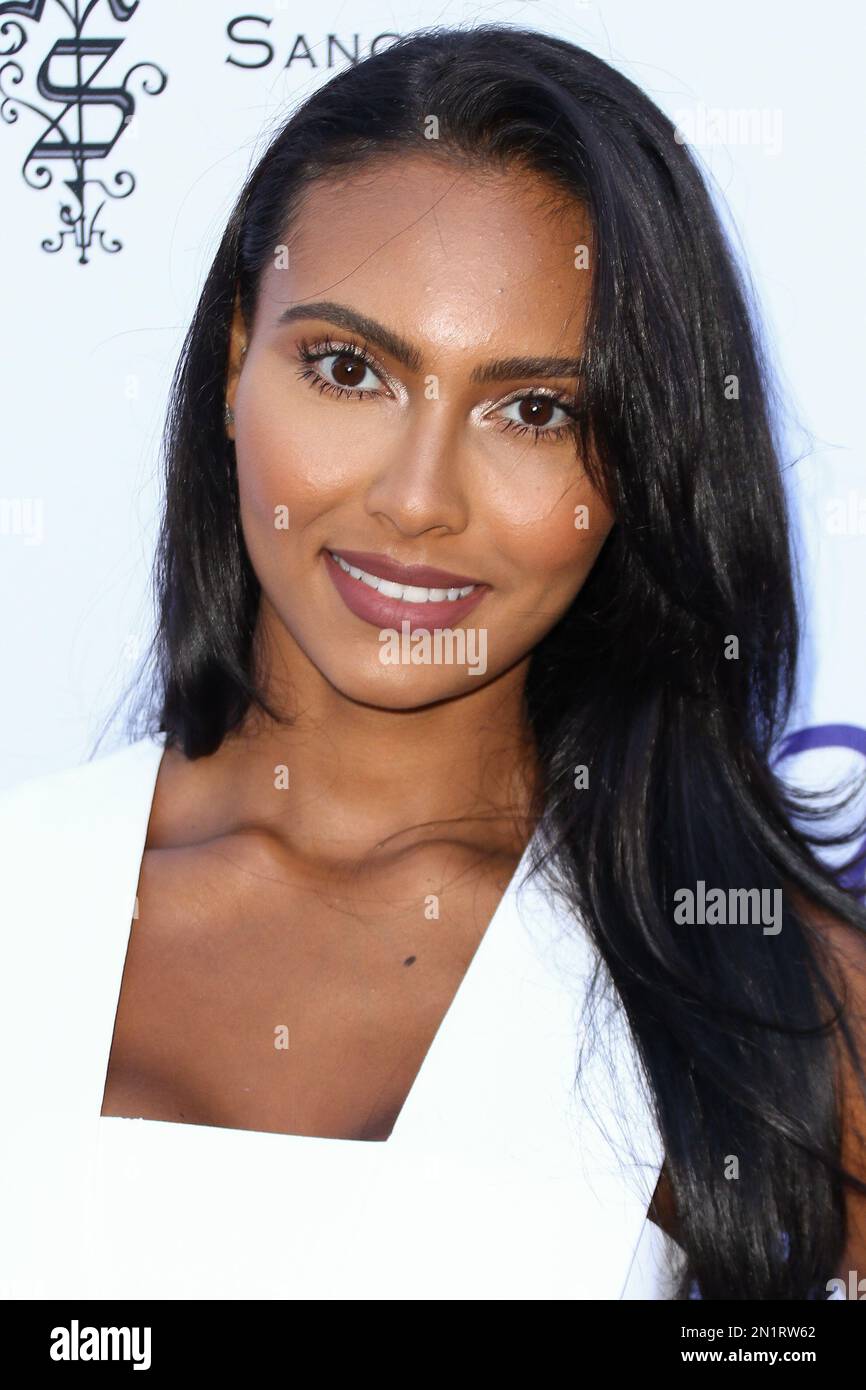 Shaniece Hairston attends HollyRod's 17th Annual DesignCare Gala held ...