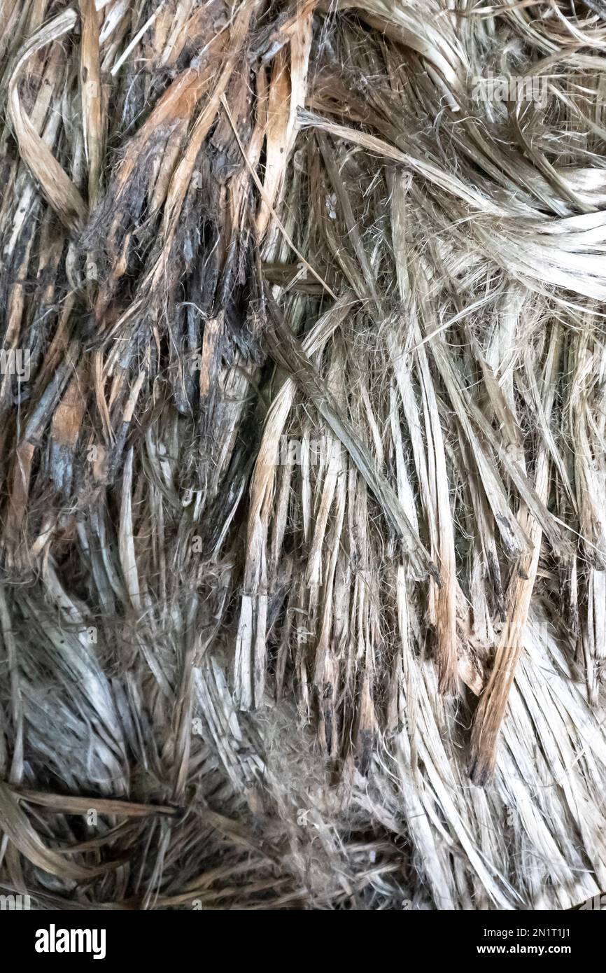 Raw Jute Fiber