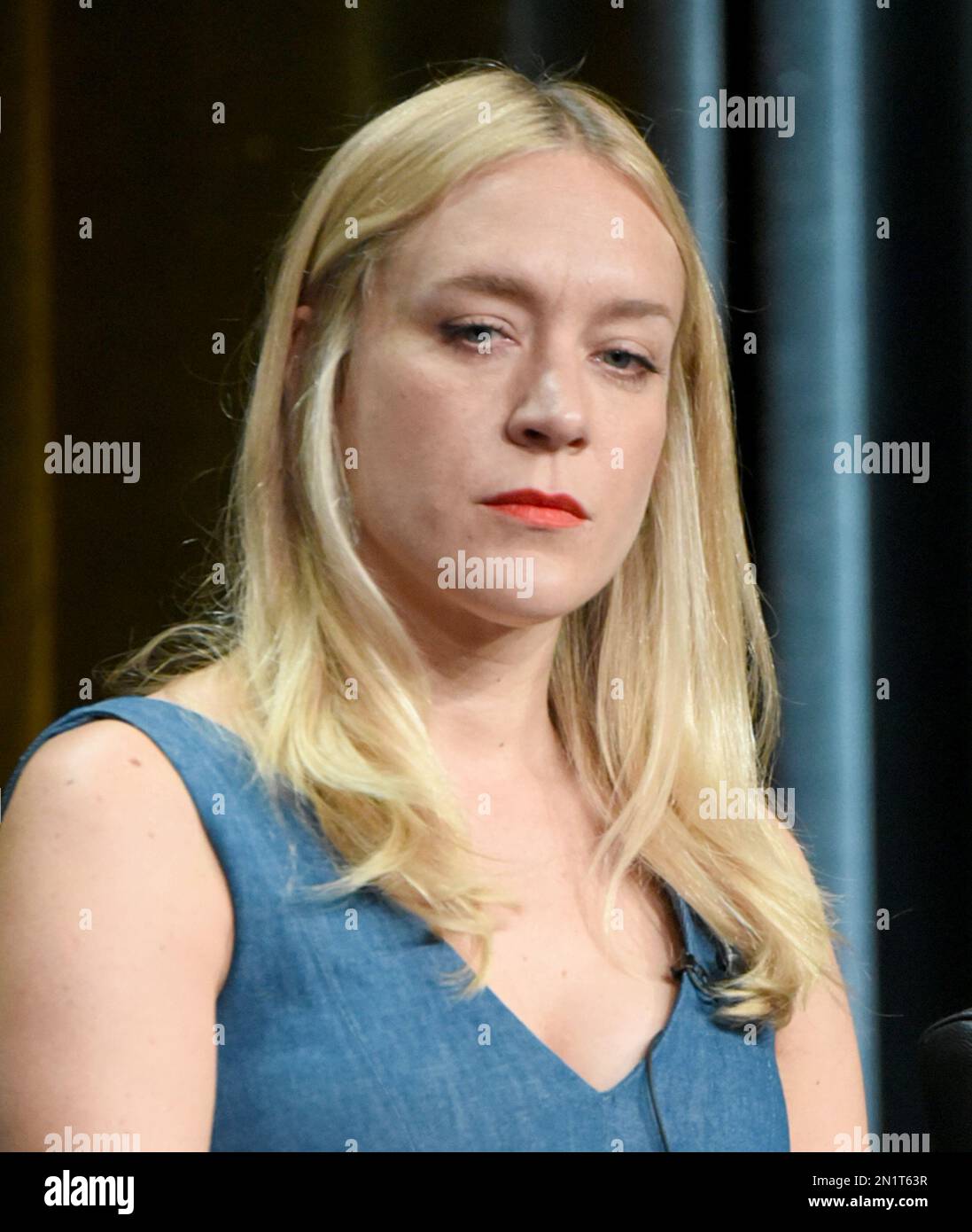 Chloe Sevigny participates in the "American Horror Story: Hotel" panel ...