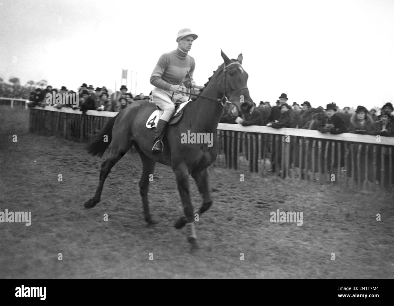 Golden Miller, with his new jockey Evan Williams in the saddle, seen at ...