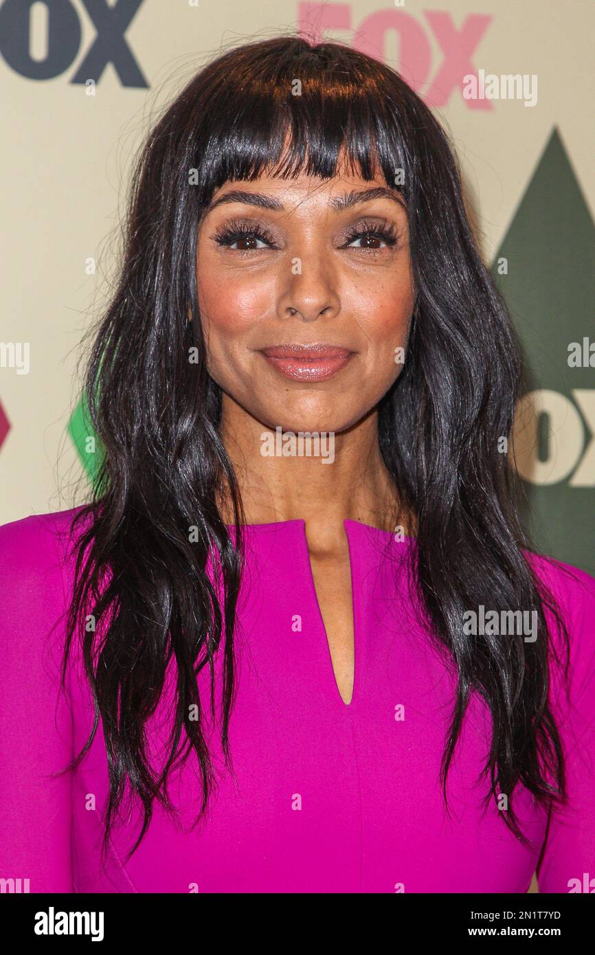 Tamara Taylor attends the 2015 Summer TCA - Fox All-Star Party at Soho ...