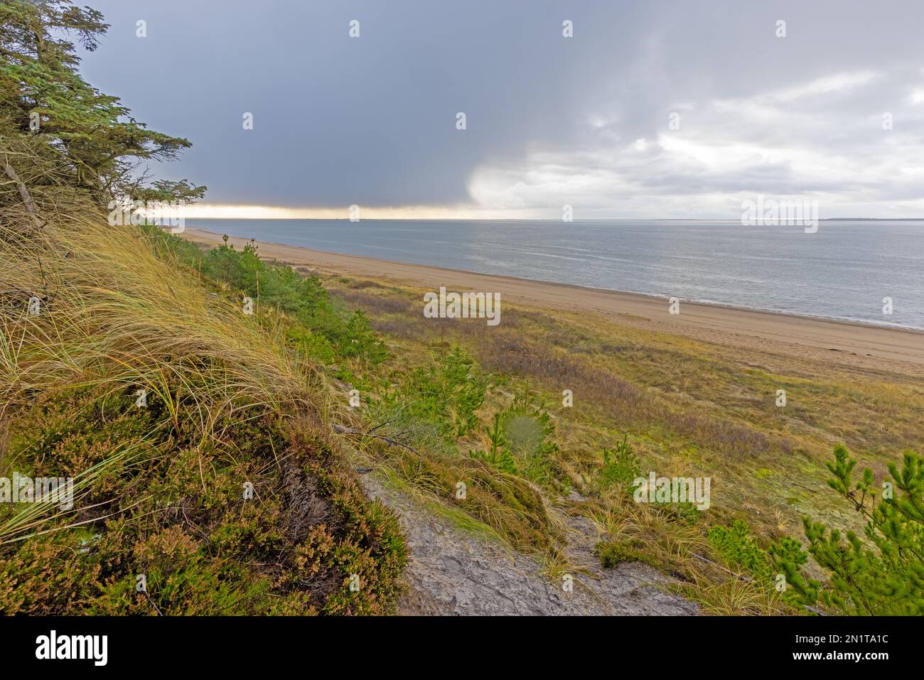 Stillingen hi-res stock photography and images - Alamy