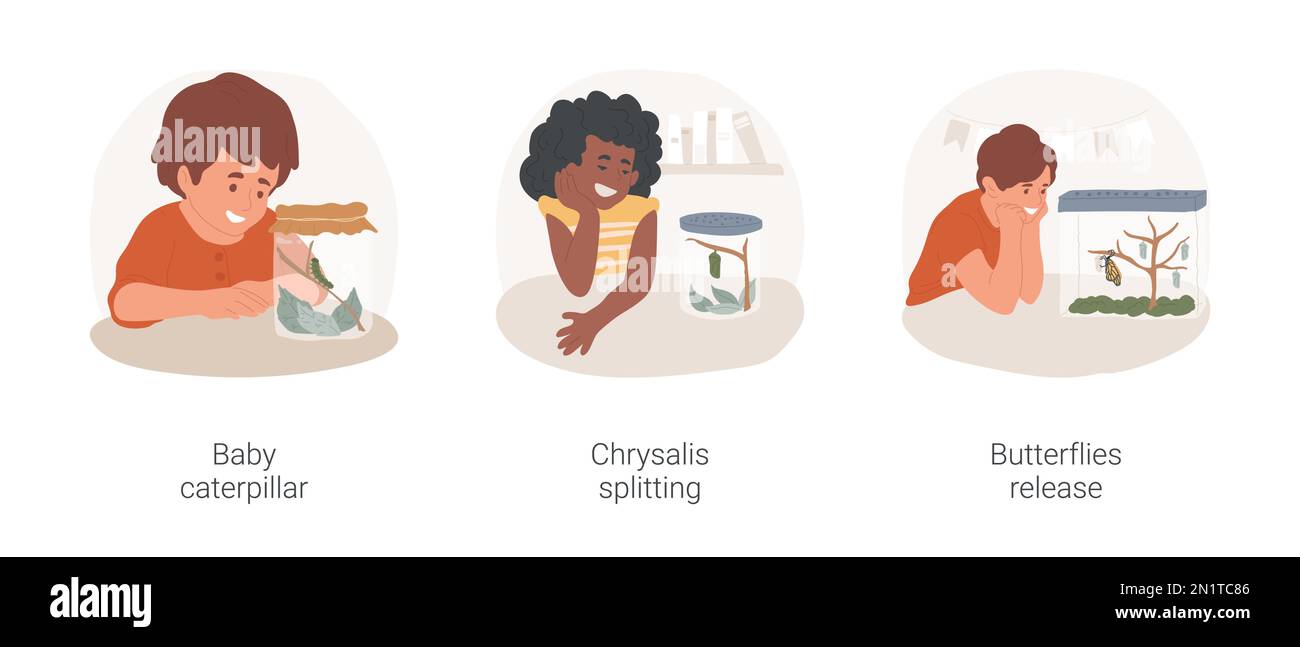 Butterfly hatching isolated cartoon vector illustration set. Curious ...