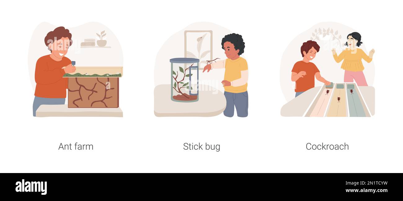 Pet insects isolated cartoon vector illustration set. Ant farm for ...