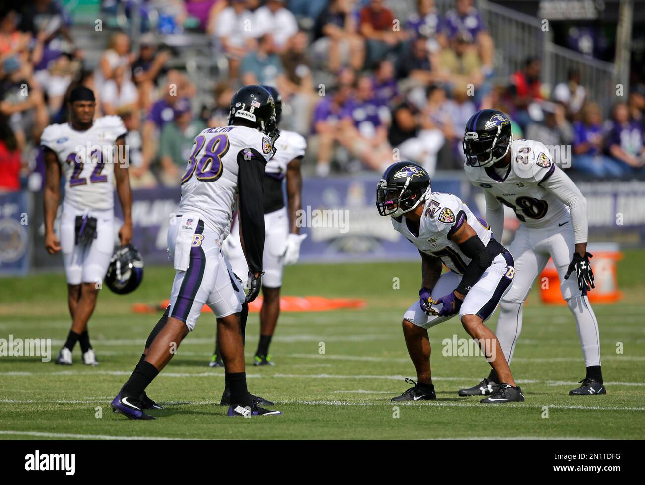 Brynden Trawick Ravens