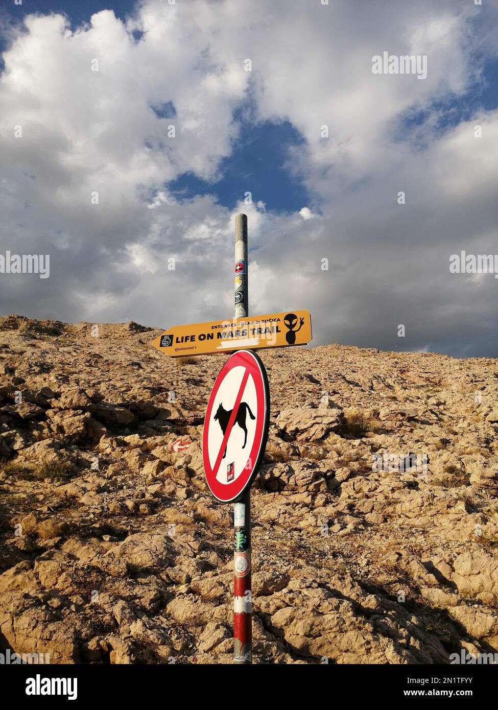 A vertical shot of "Life on mars trial" with "no dogs" signages against ...