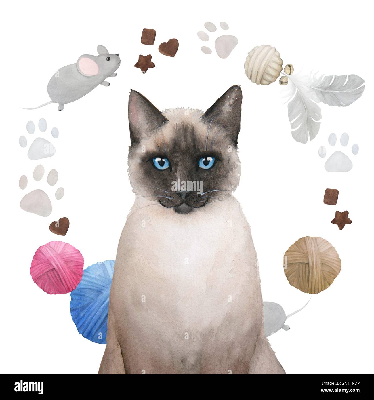 Watercolor illustration of cat and round frame, wreath with pet ...