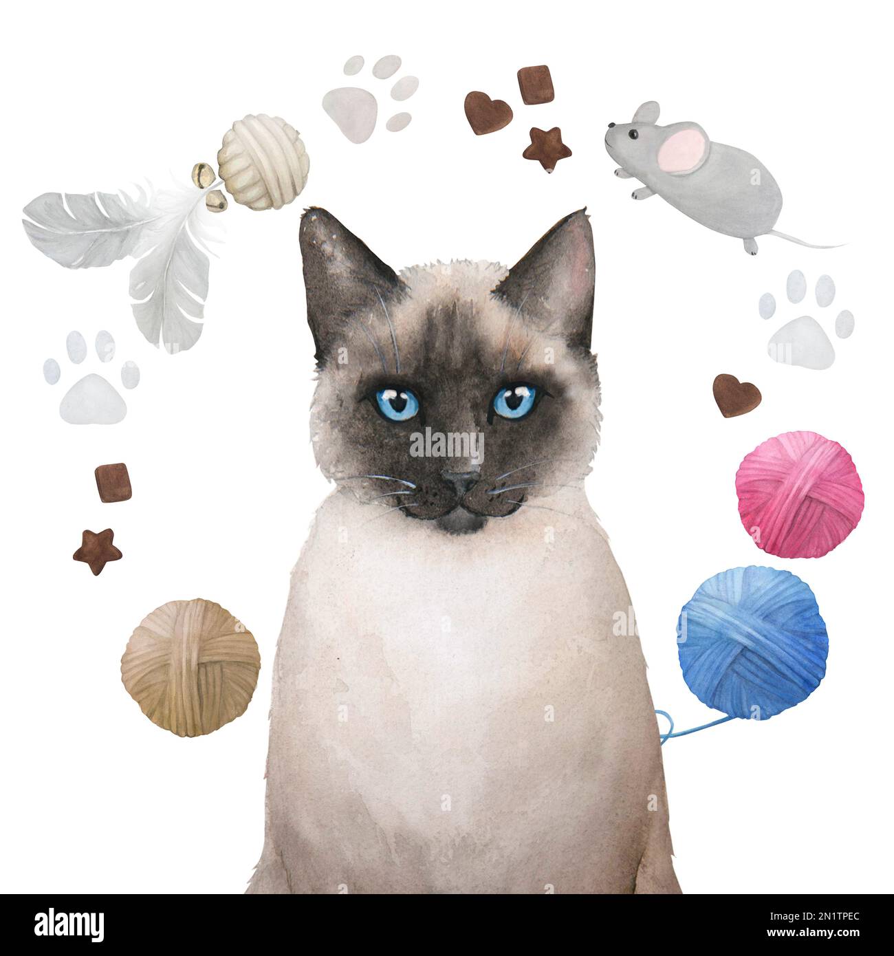 Watercolor illustration of cat and round frame, wreath with pet ...