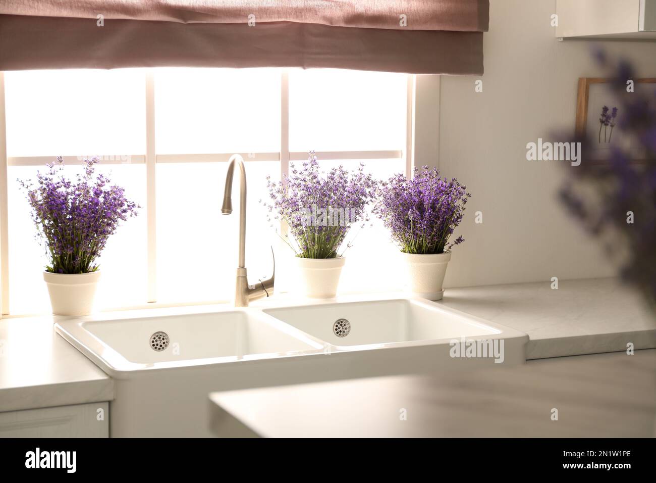 Beautiful lavender flowers on countertop near window in kitchen Stock ...