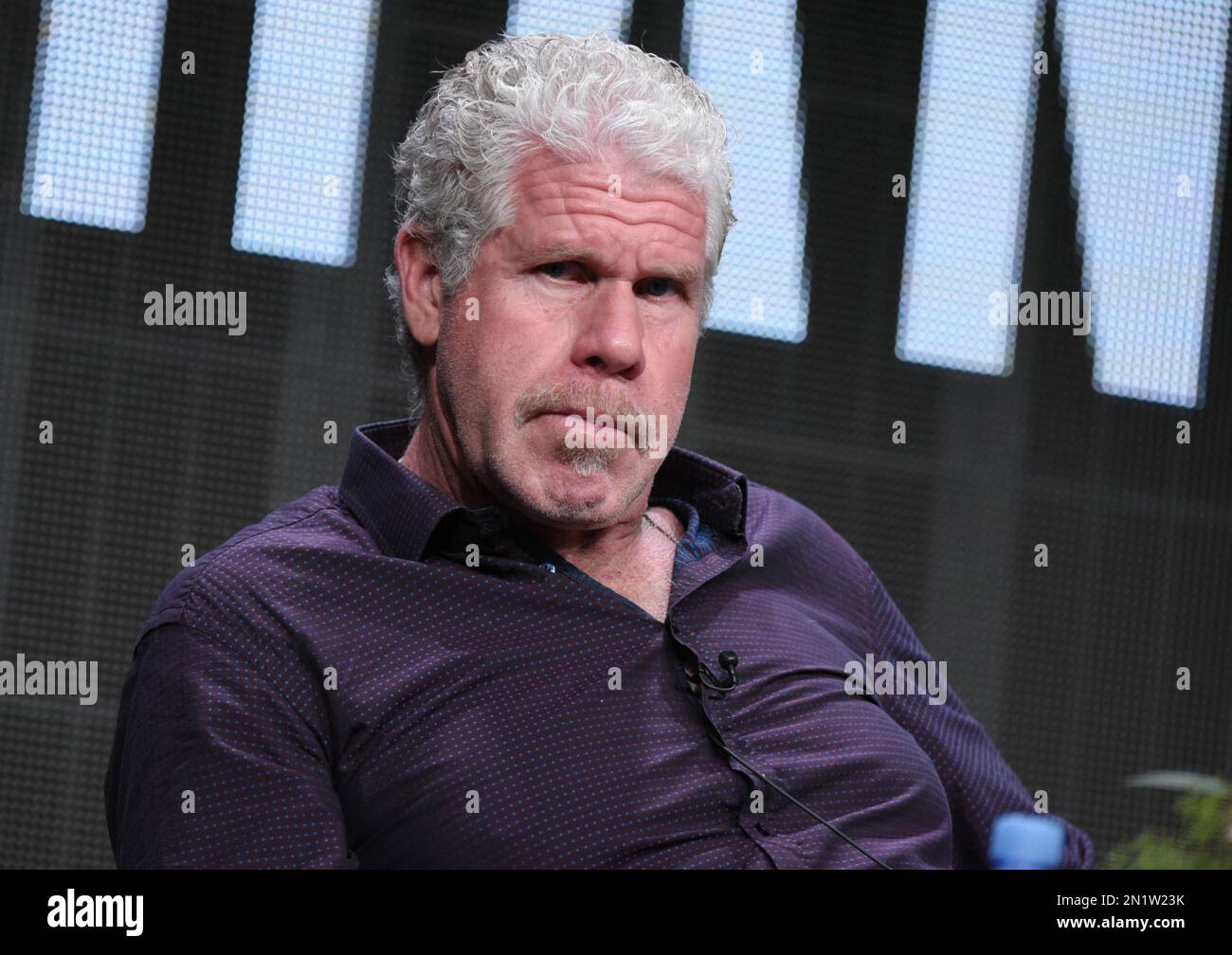 Ron Perlman participates in the "Hand of God" panel at the Amazon ...