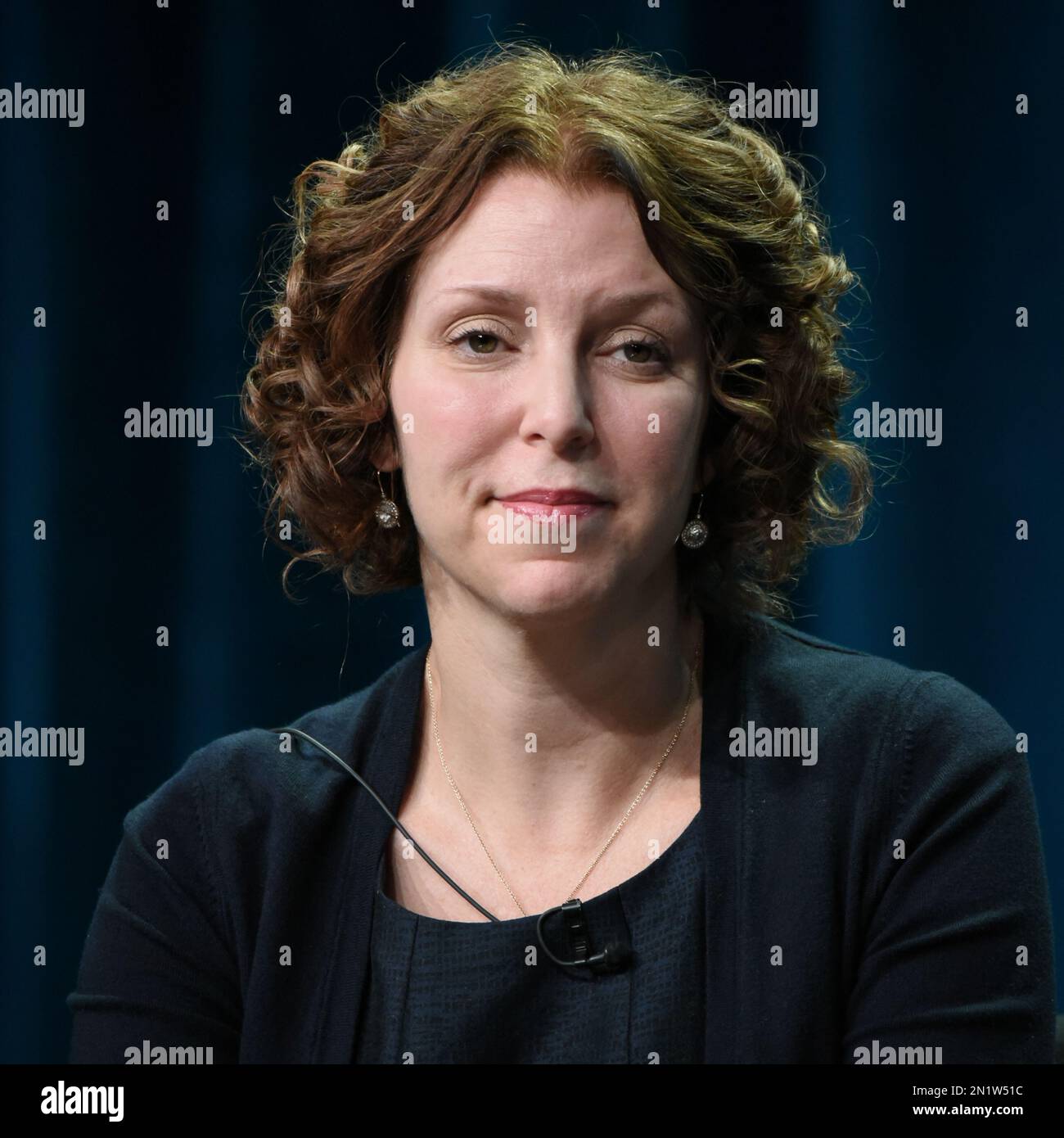 Executive producer Raney Aronson speaks onstage during the "My Brother ...