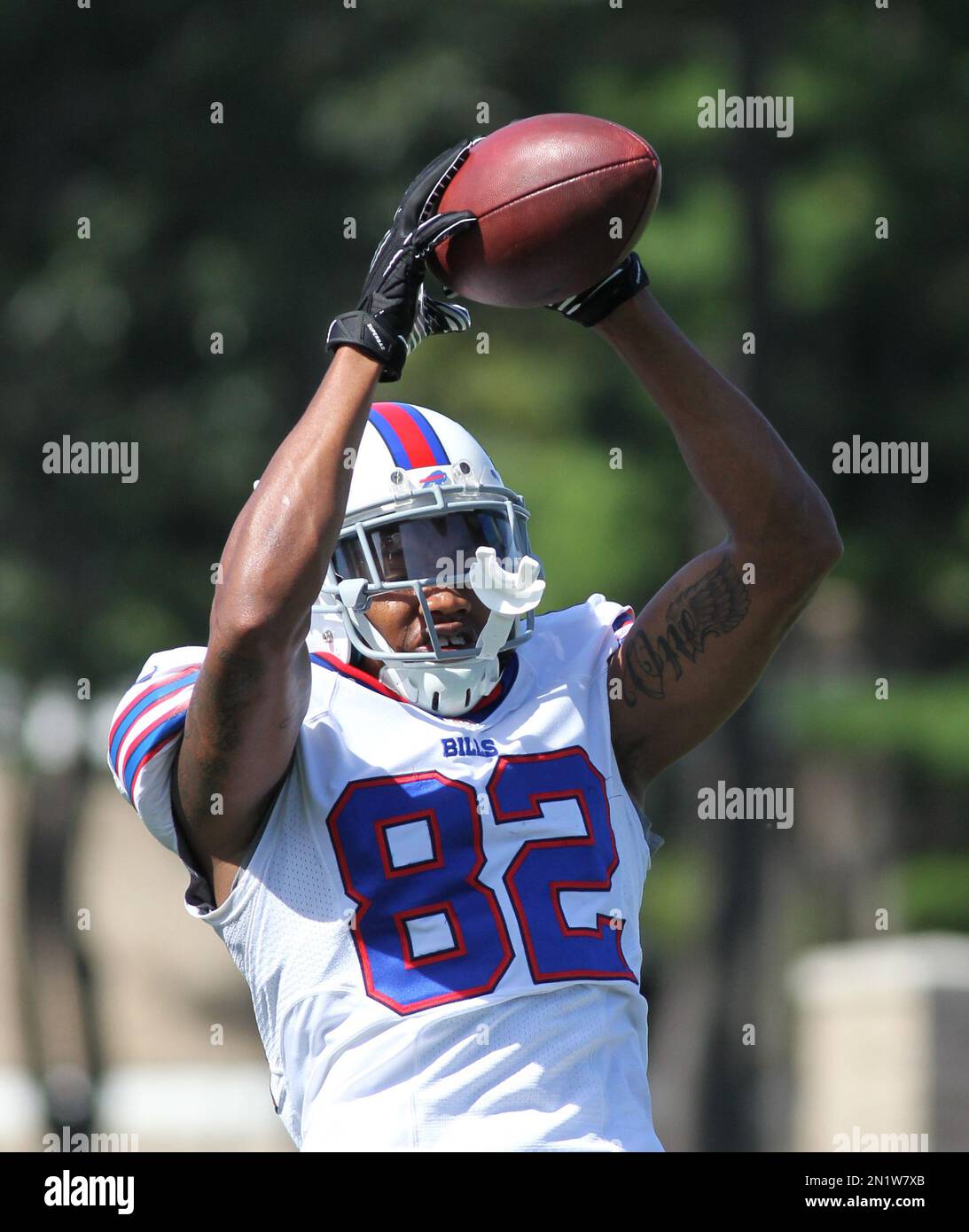 Buffalo Bills wide receiver Andre Davis (82) makes a catch during their ...
