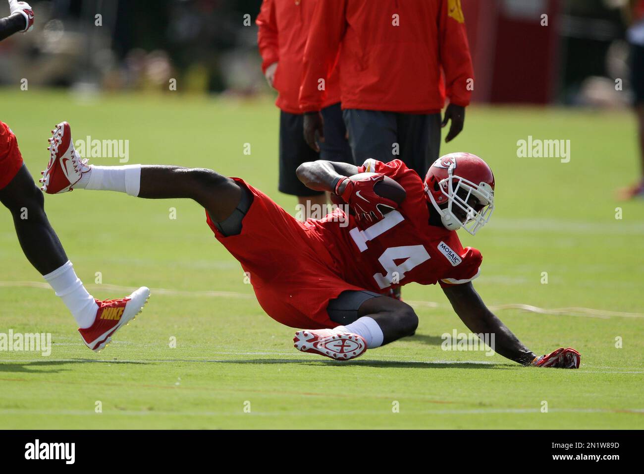 Kansas City Chiefs wide receiver Armon Binns (14) during NFL football ...