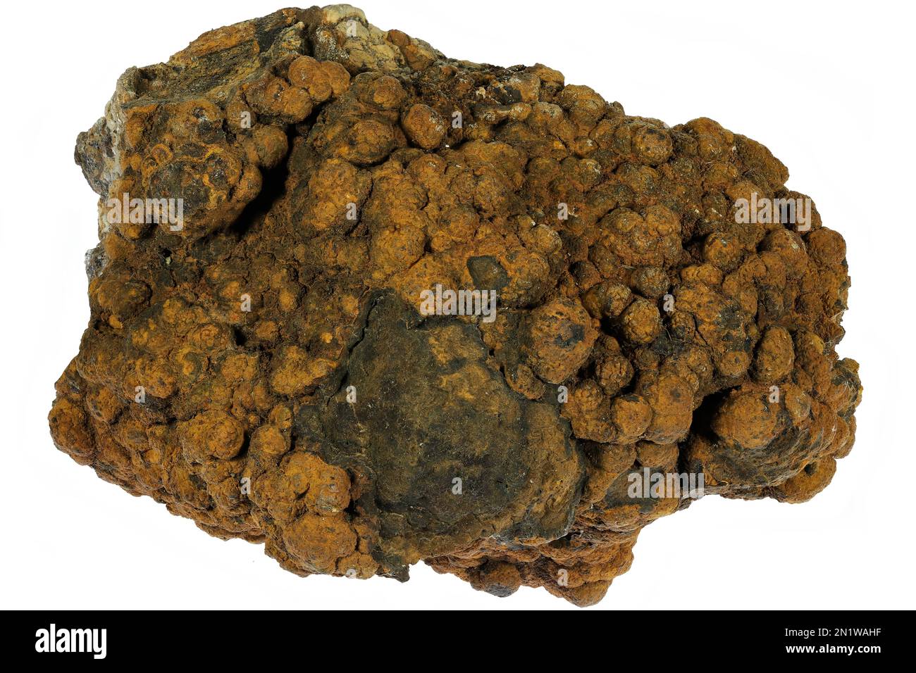 limonite from the Black Forest, Germany isolated on white background ...