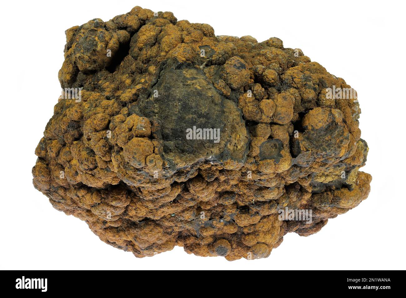 limonite from the Black Forest, Germany isolated on white background ...
