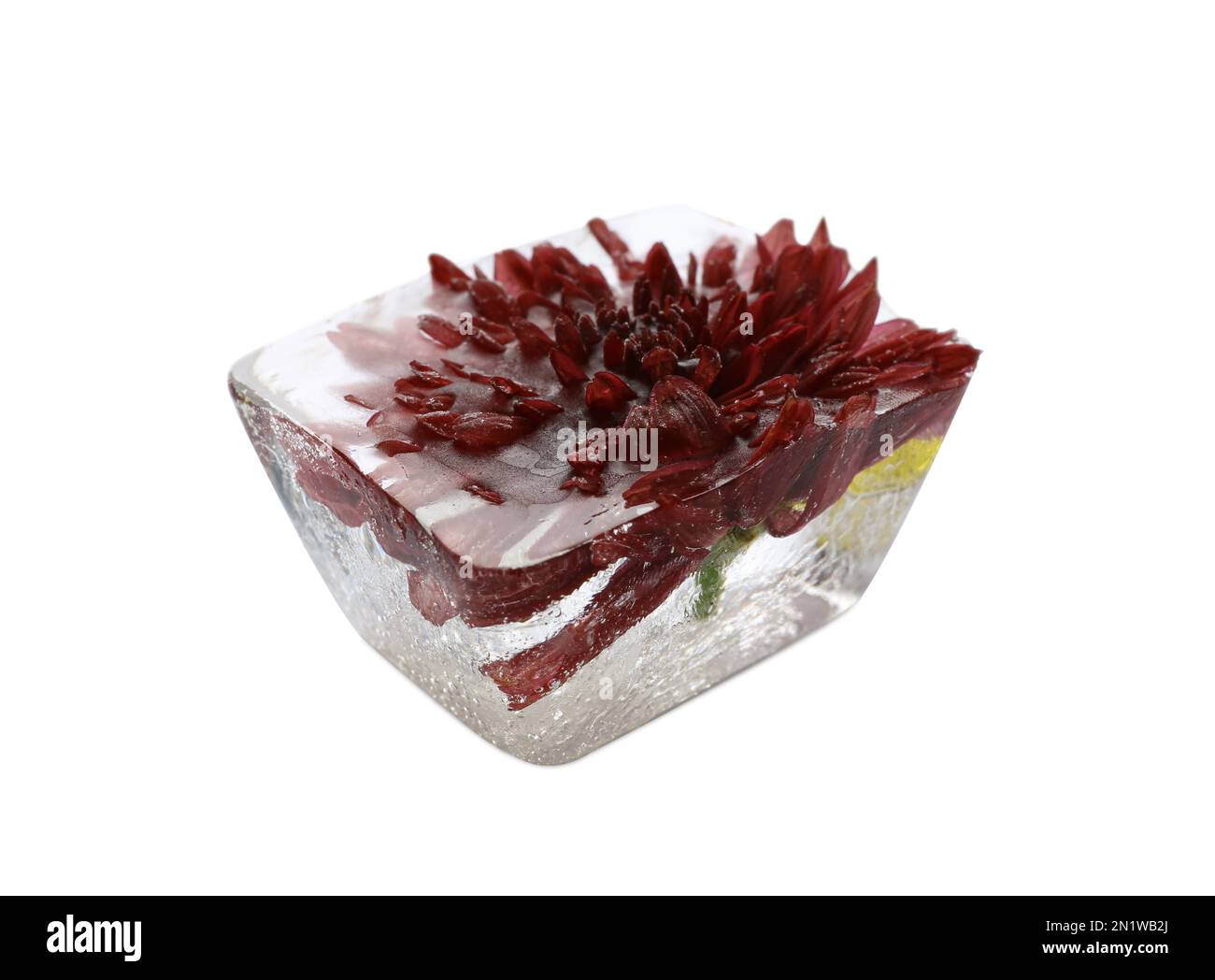Flower ice plant on Cut Out Stock Images & Pictures - Alamy