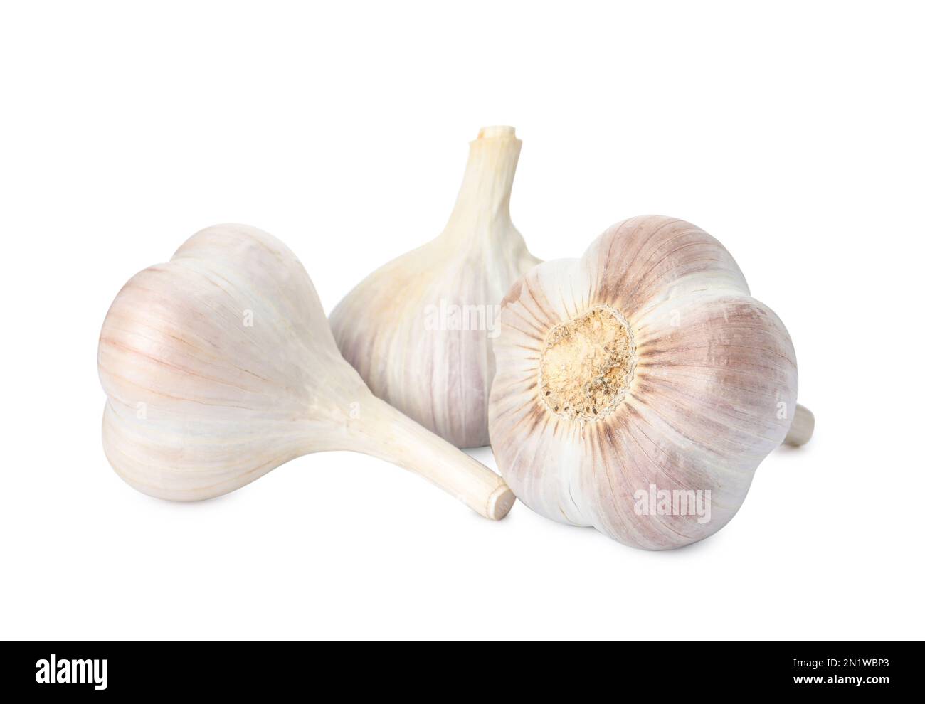 Fresh organic garlic bulbs on white background Stock Photo - Alamy