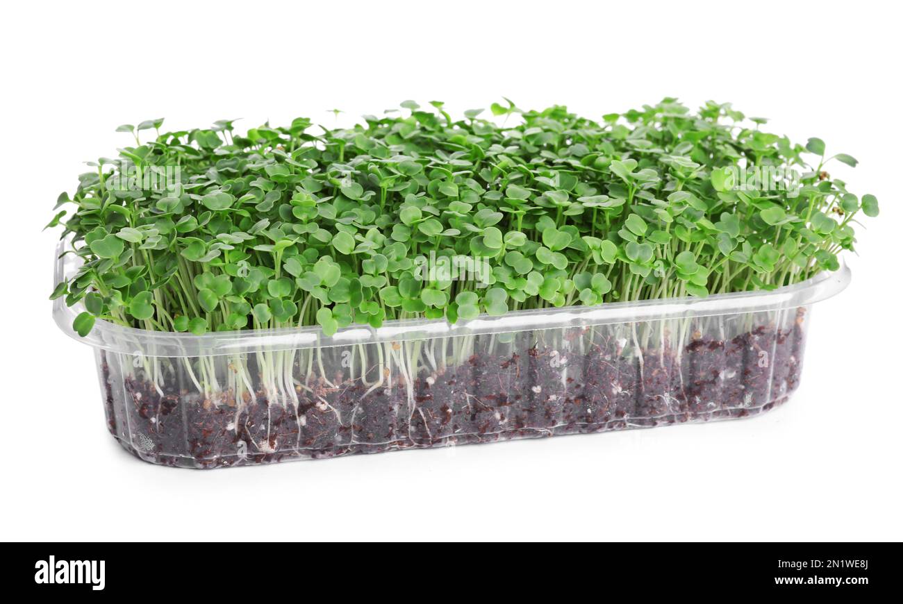 Fresh organic microgreens in plastic container on white background ...