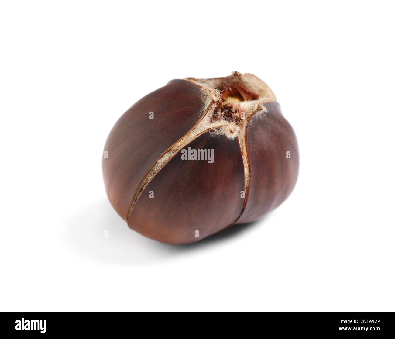 Delicious sweet roasted edible chestnut isolated on white Stock Photo ...