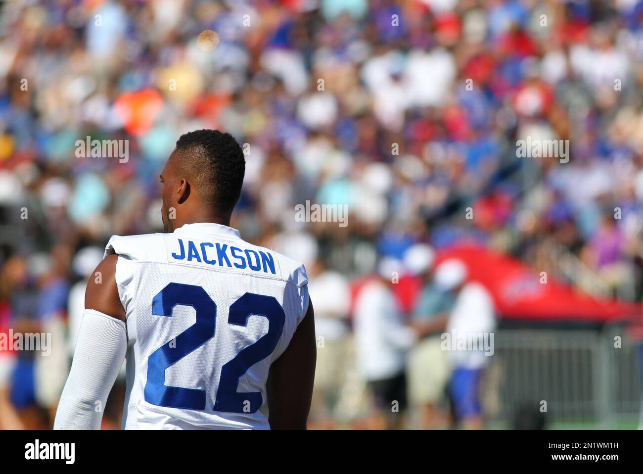 Buffalo Bills running back Fred Jackson watches the action during their ...