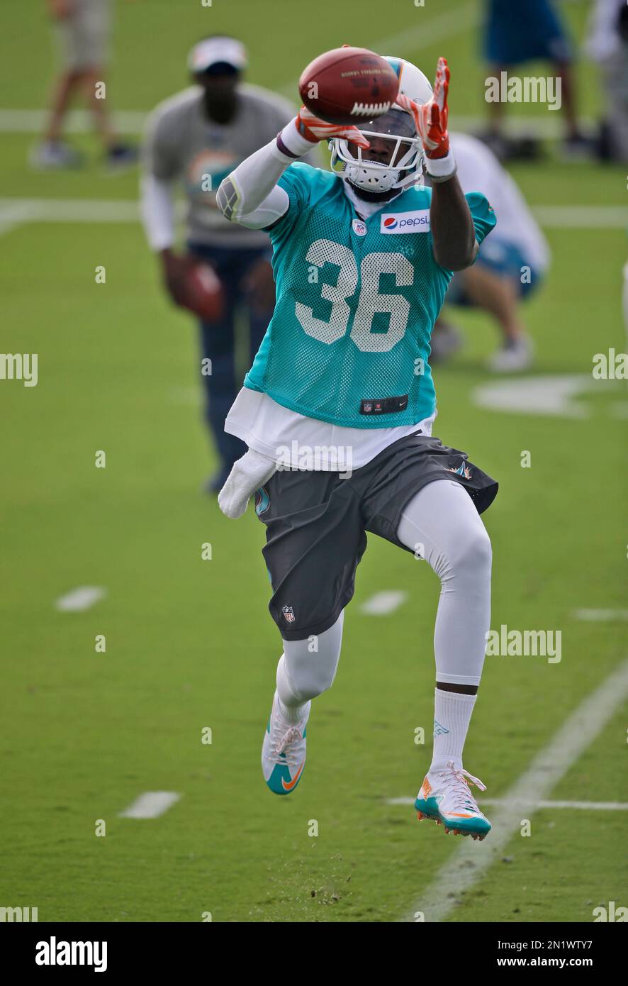 Miami Dolphins defensive back Tony Lippett catches the ball as he runs ...