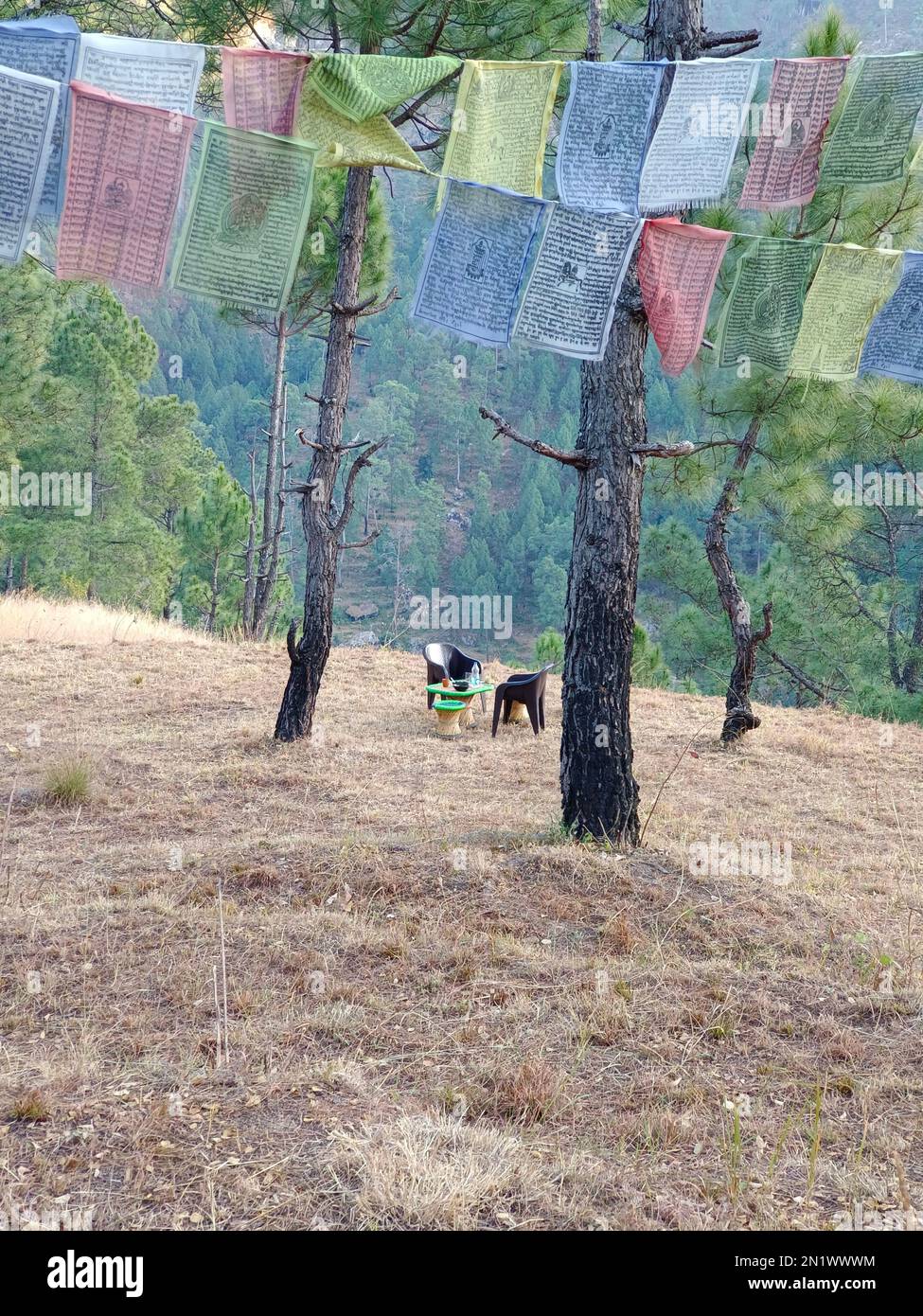 Laundry trees hi-res stock photography and images - Alamy