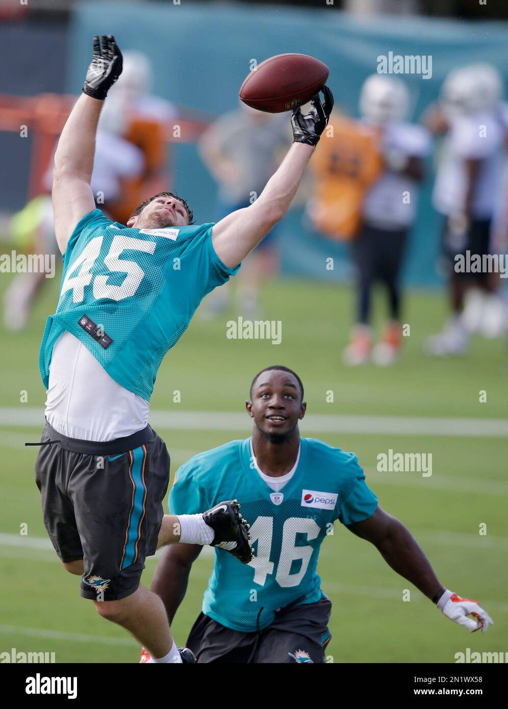 Miami Dolphins linebacker Mike Hull (45) catches a pass as he and ...