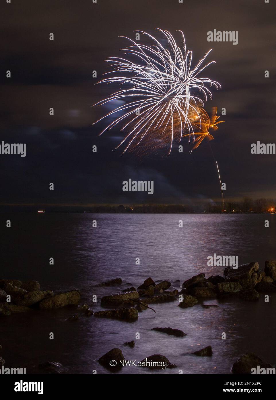 A vertical shot of exploding colorful fireworks in a night sky over a ...