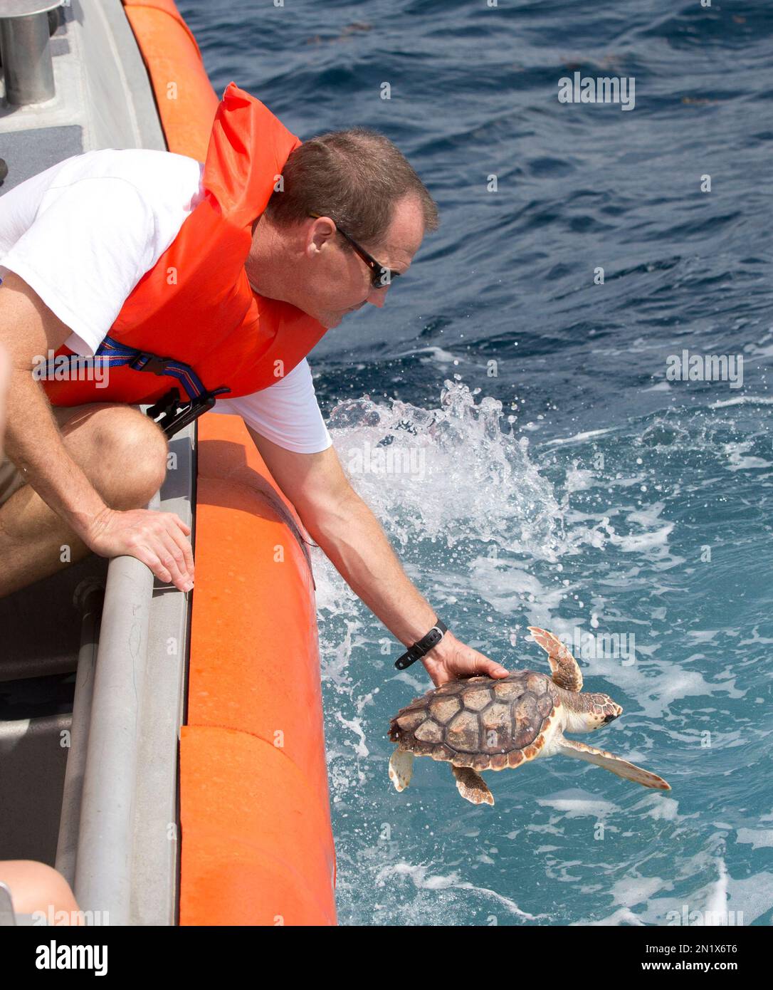 David Anderson, a Marine Turtle Specialist at the Gumbo Limbo Nature ...