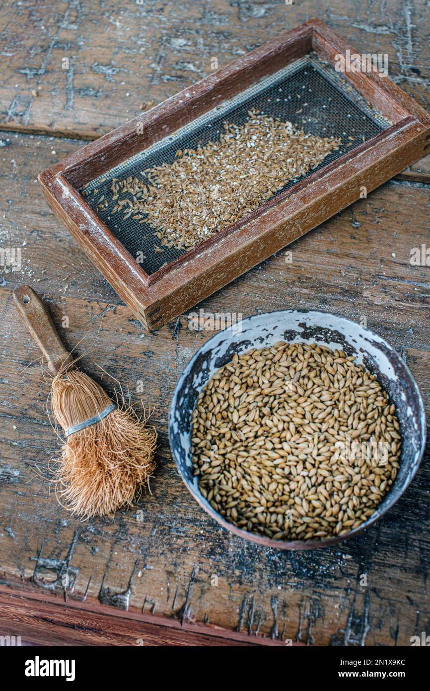 Making Malt Whisky: Device called a shuttle box, which sieves the ...