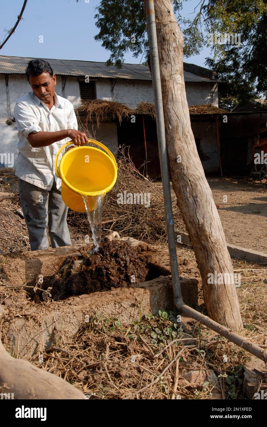 INDIA, Madhya Pradesh, Kasrawad, small biogas plant on farm for cooking ...