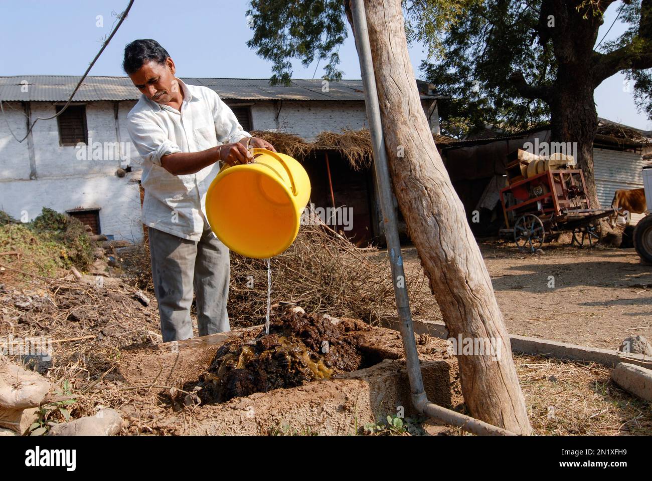 INDIA, Madhya Pradesh, Kasrawad, small biogas plant on farm for cooking ...