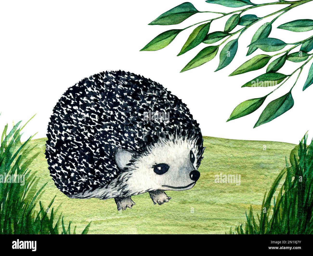 Watercolor wild forest animals: hedgehog on forest lawn scene. Woodland ...