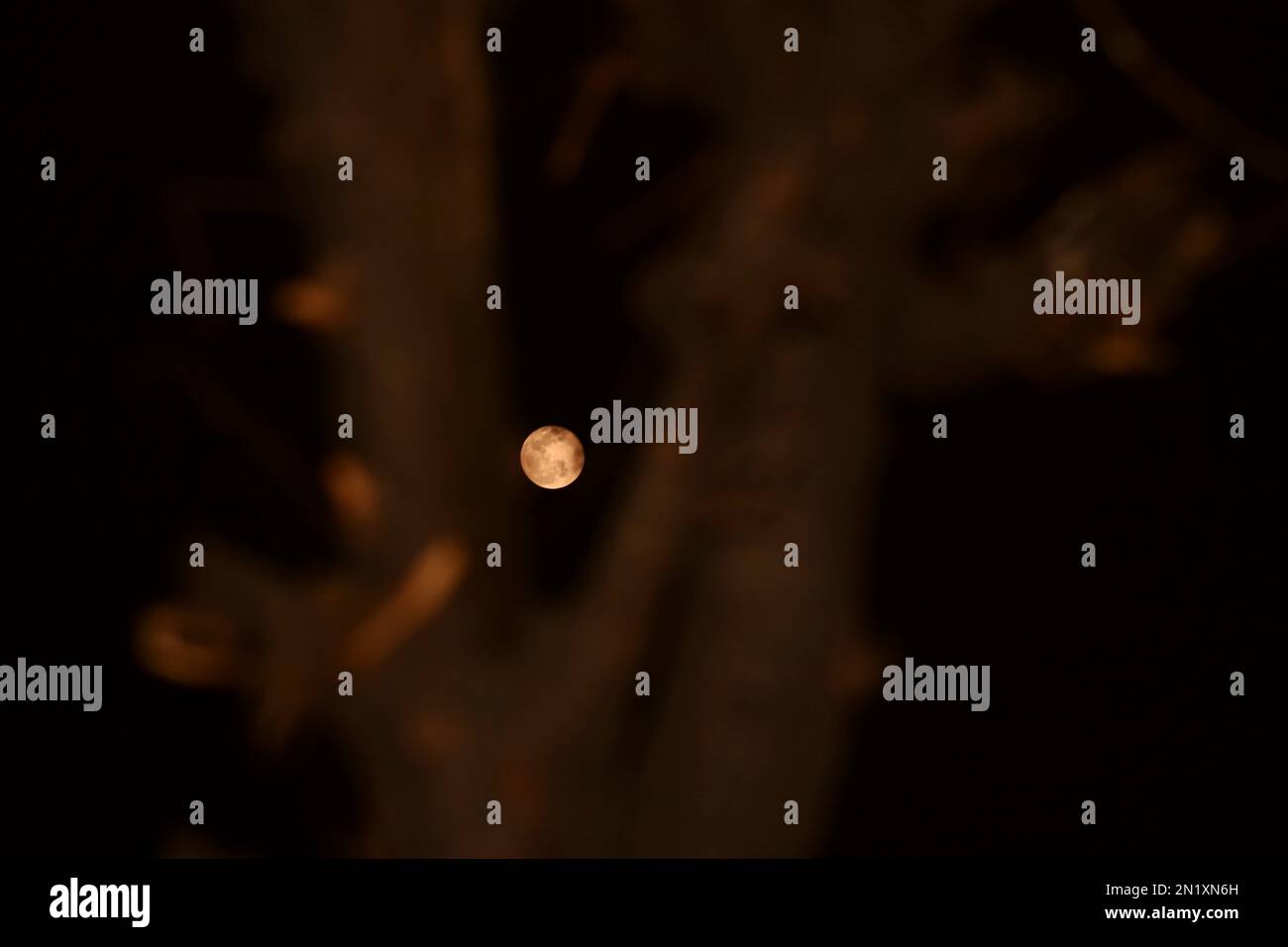 Smallest full moon of the year hi-res stock photography and images - Alamy