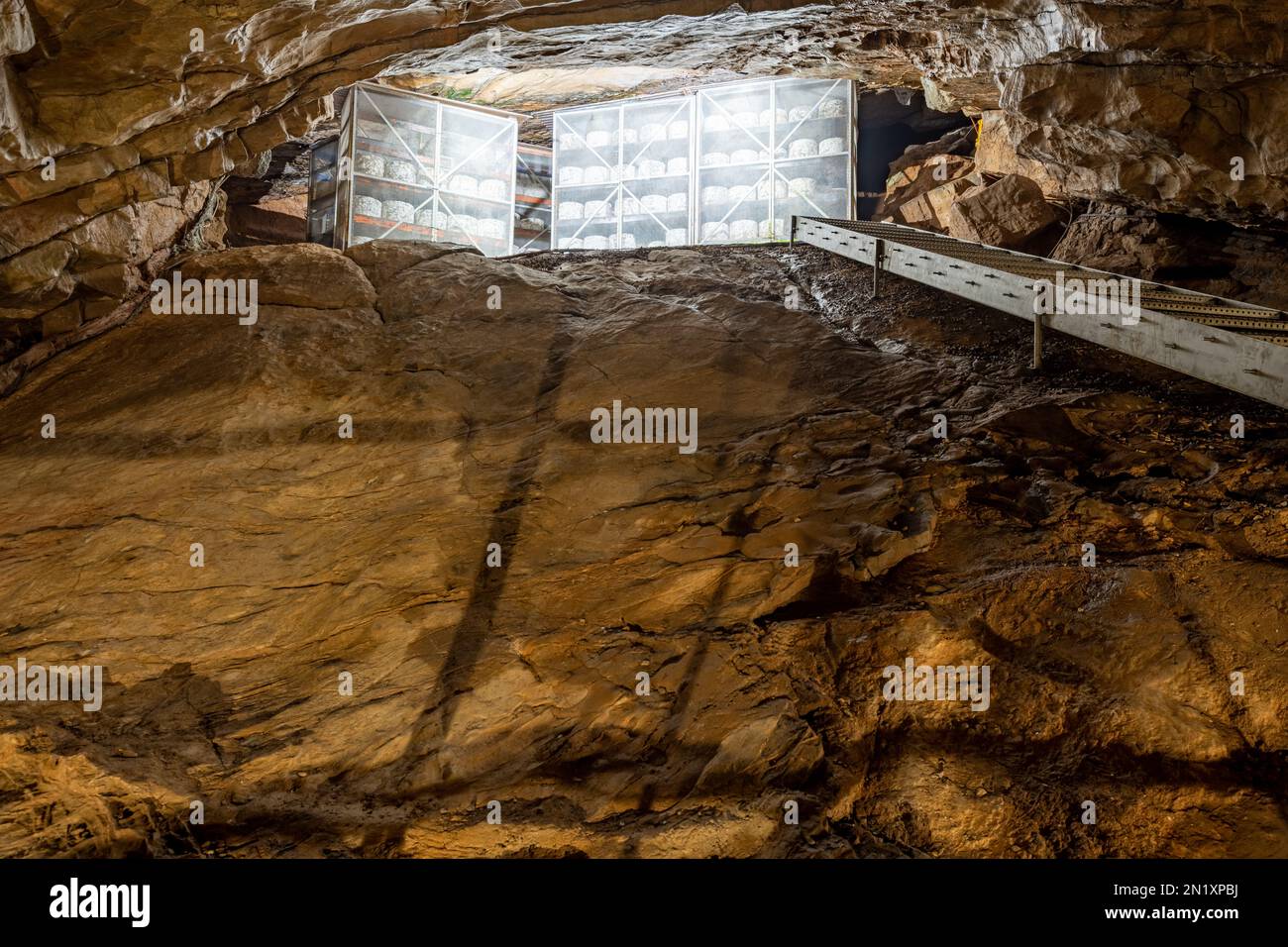 Cheddar cheese maturing in Goughs Cave in Cheddar in Somerset Stock ...