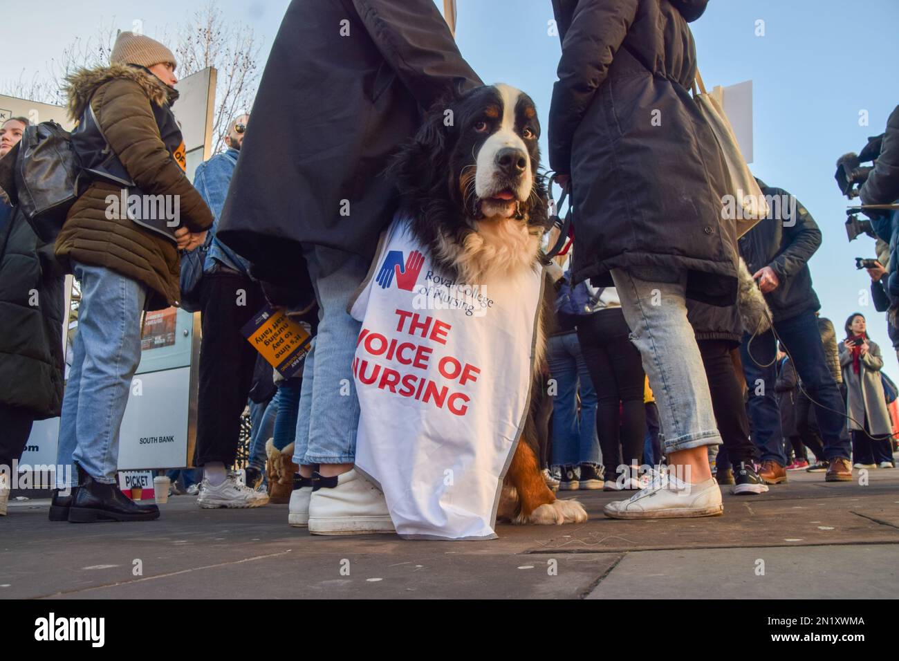 London, UK. 6th February 2023. A dog joins the picket outside St Thomas ...